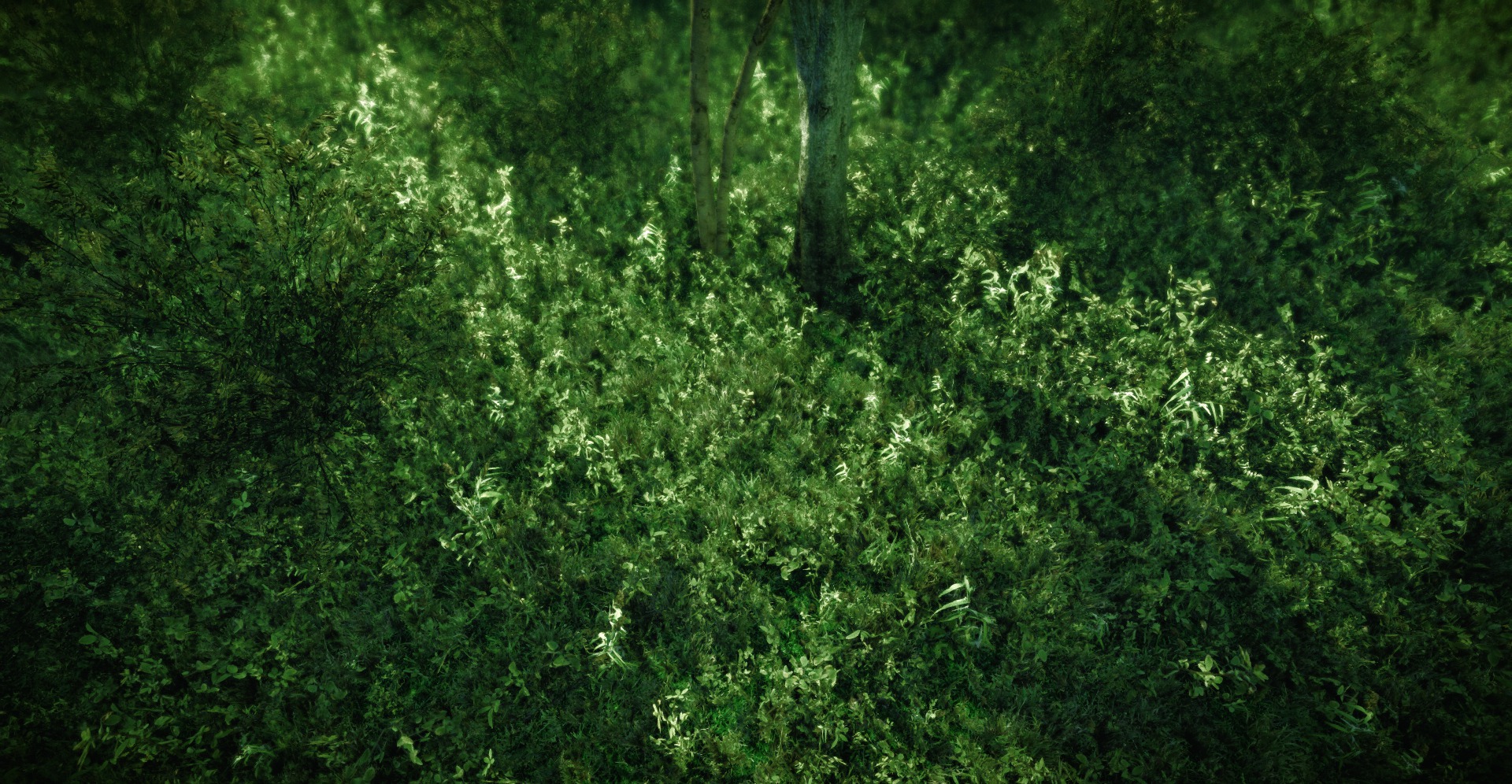 Weekly CryEngine 3 Gallery [December 4th - 10th]