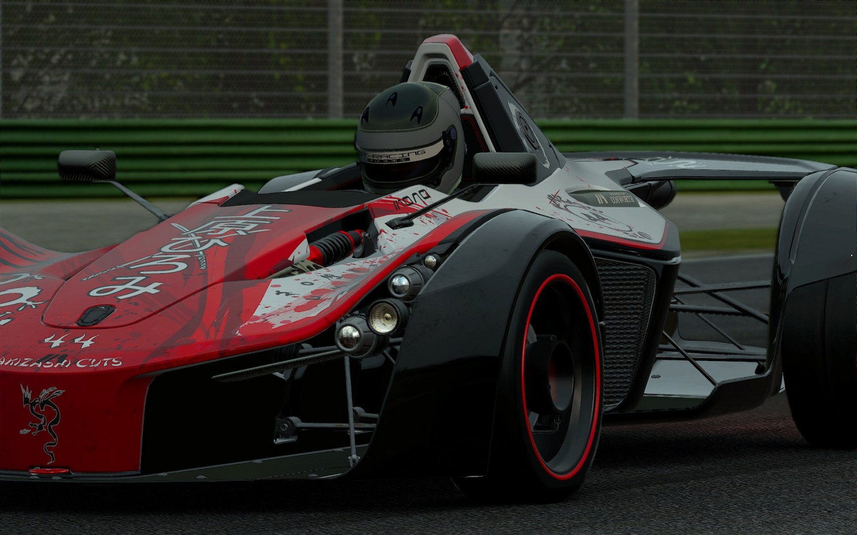 New Project CARS Community Screenshots