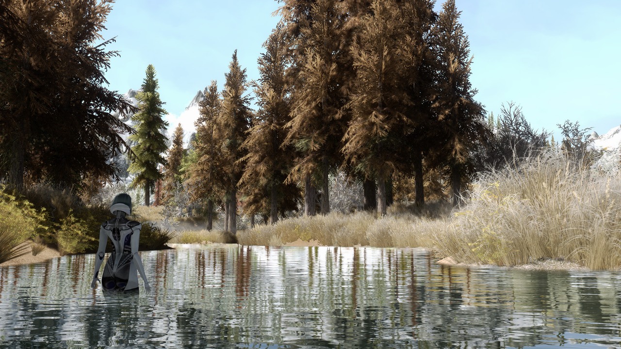 Mind-Blowing Skyrim Screenshots Show Incredible Lighting, Reflections ...