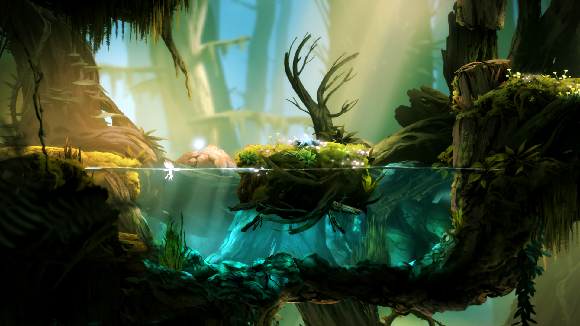 Ori and the Blind Forest will get a co-op mod