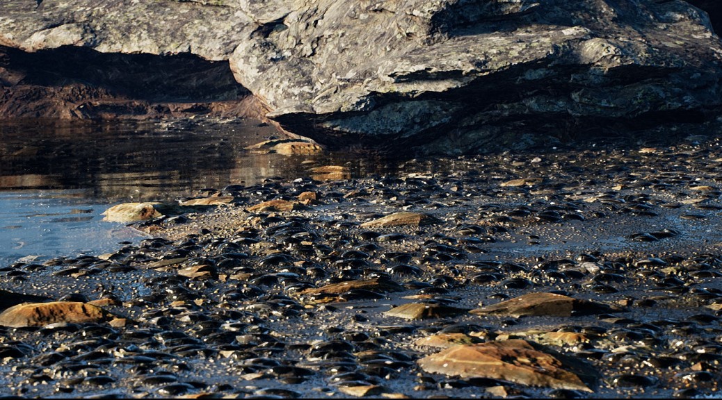 These Mind-Blowing Images Are Not Real, But Rather Rendered In Real ...