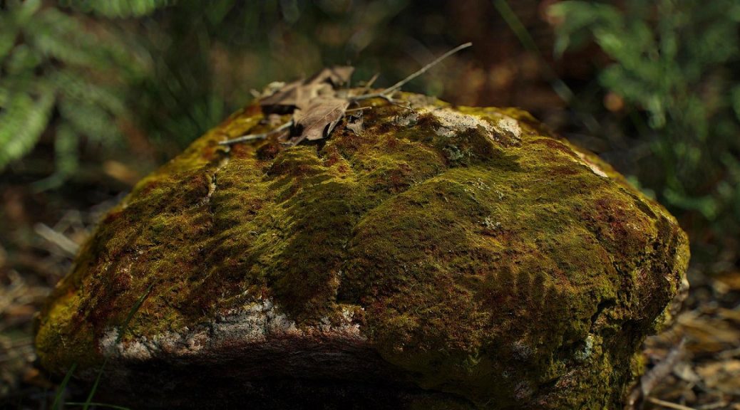 Quixel Megascans has been released