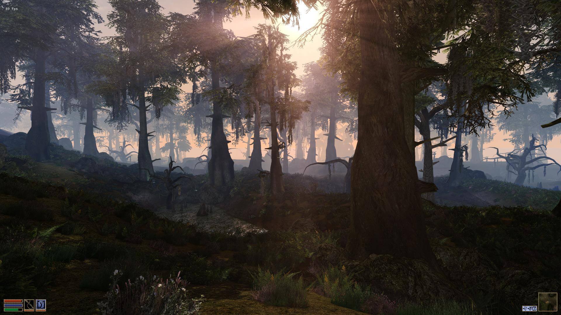 The Elder Scrolls III: Morrowind Multiplayer V0.6.2 is now available ...