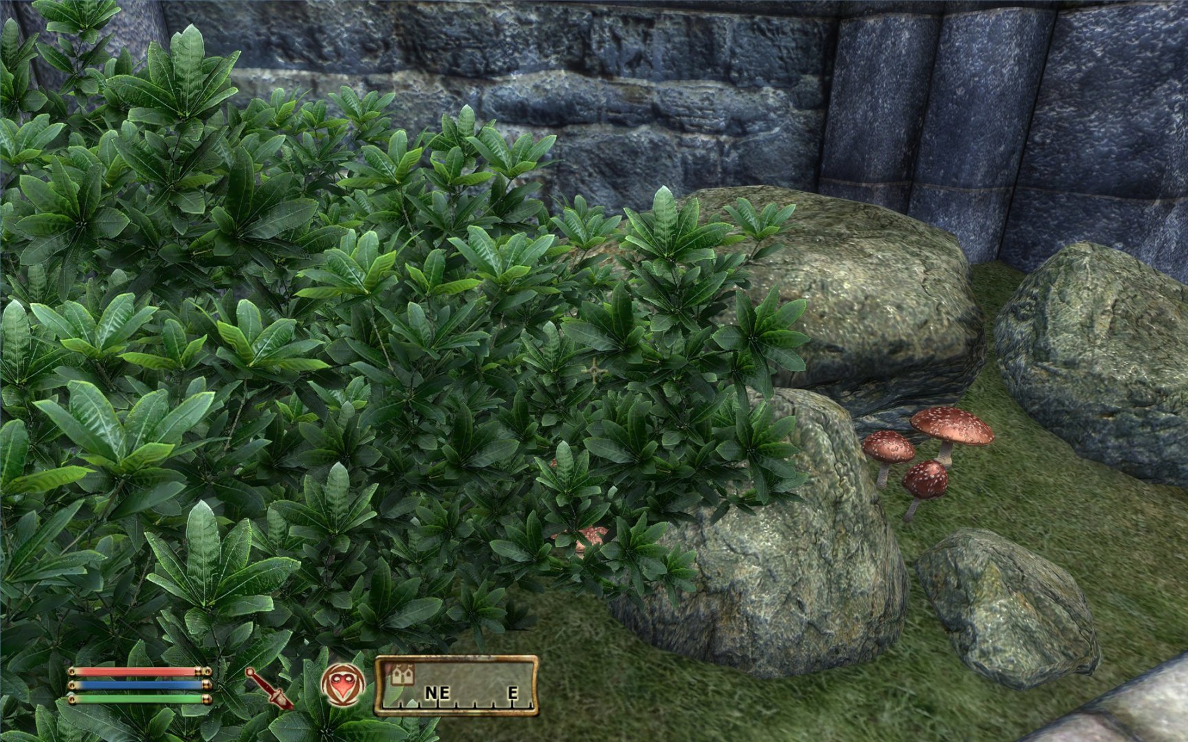 The Elder Scrolls IV Oblivion Upscaled 4x textures mod-5 - DSOGaming