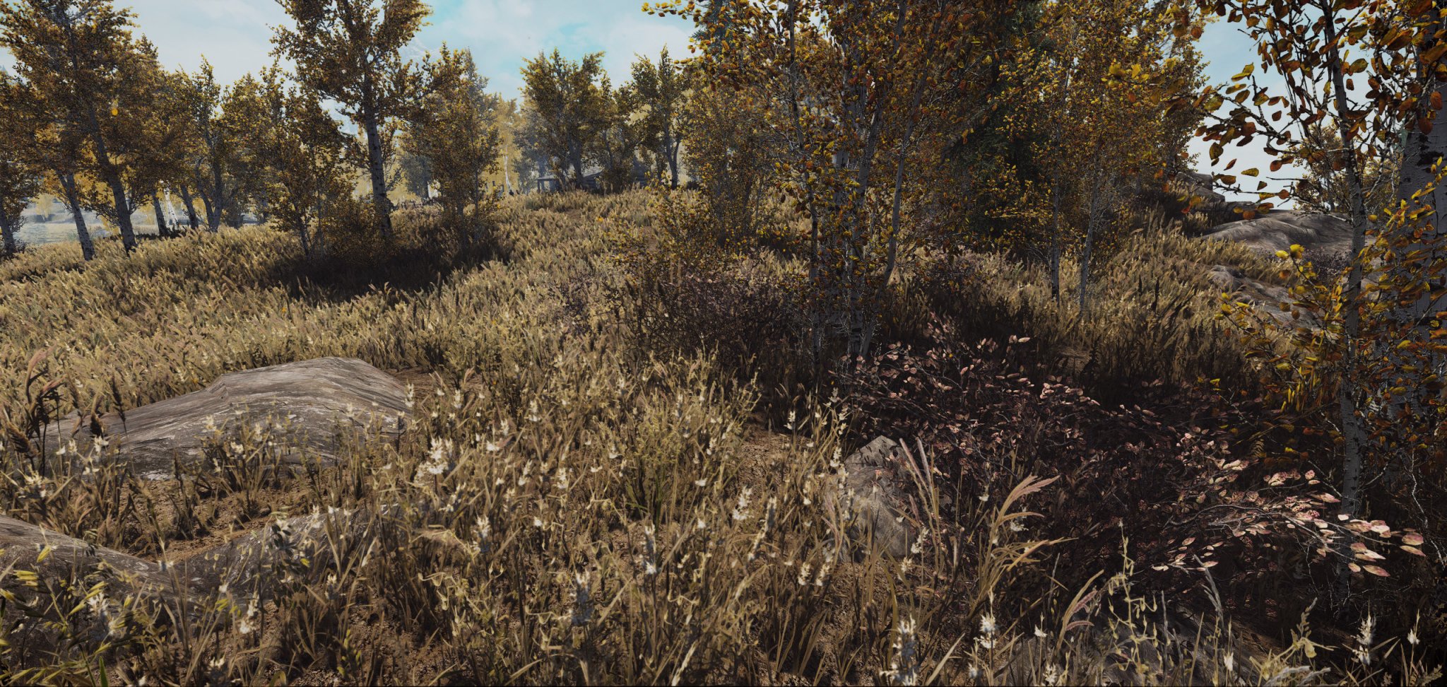 Skyrim Special Edition Grass & Grounds Overhaul Mod-3 - DSOGaming