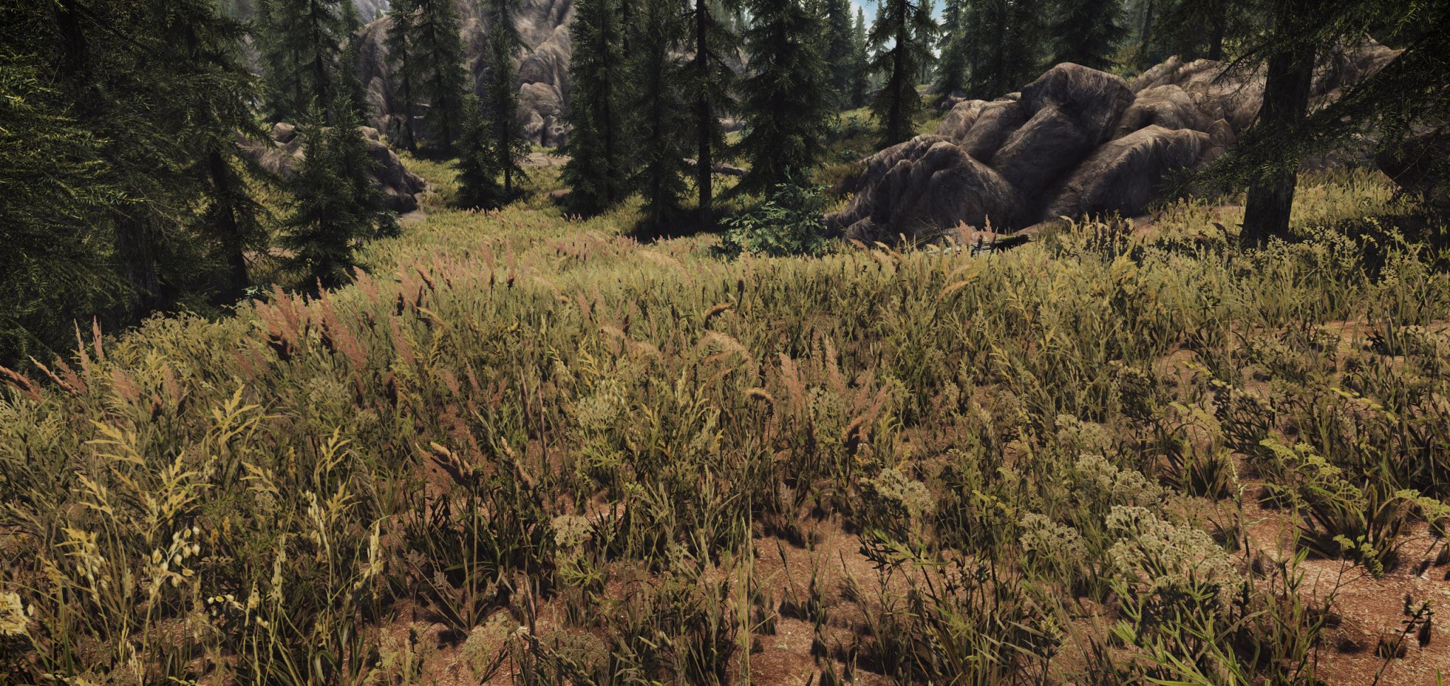 Skyrim Special Edition Grass & Grounds Overhaul Mod-5 - DSOGaming