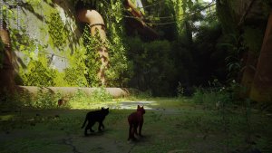 Stray PC Performance Analysis