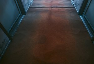 Cyberpunk 2077 gets 4K & 8K textures for walls, roads, vegetation & more