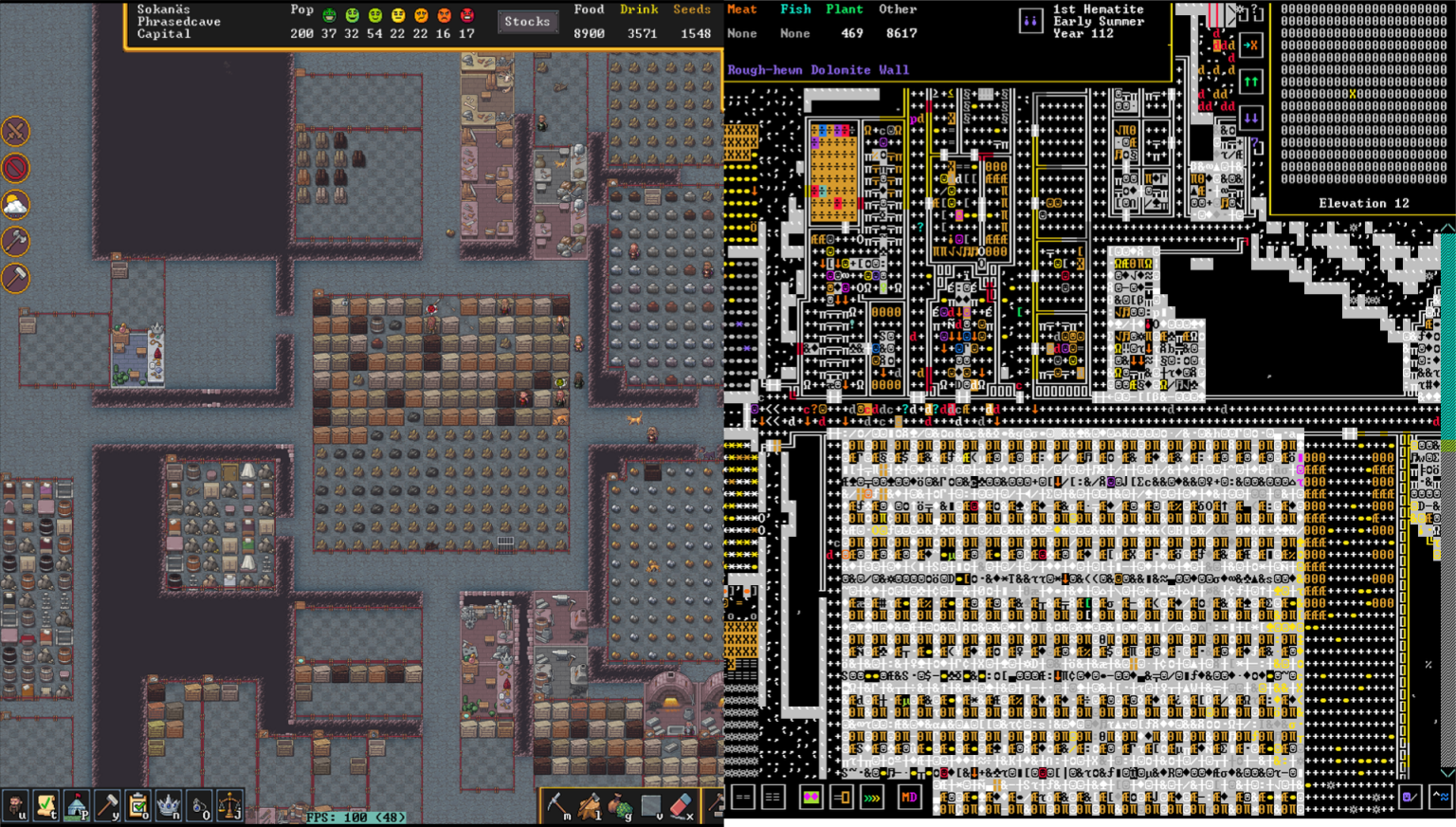 Dwarf Fortress Premium PC Review