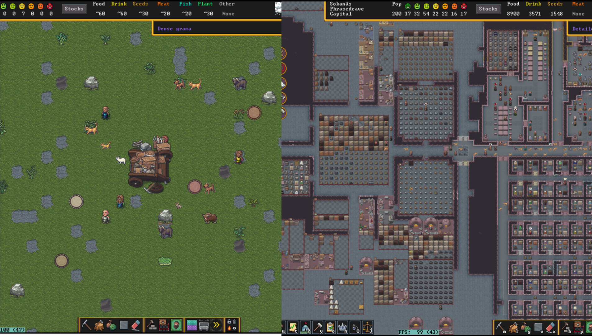 Dwarf Fortress Premium PC Review