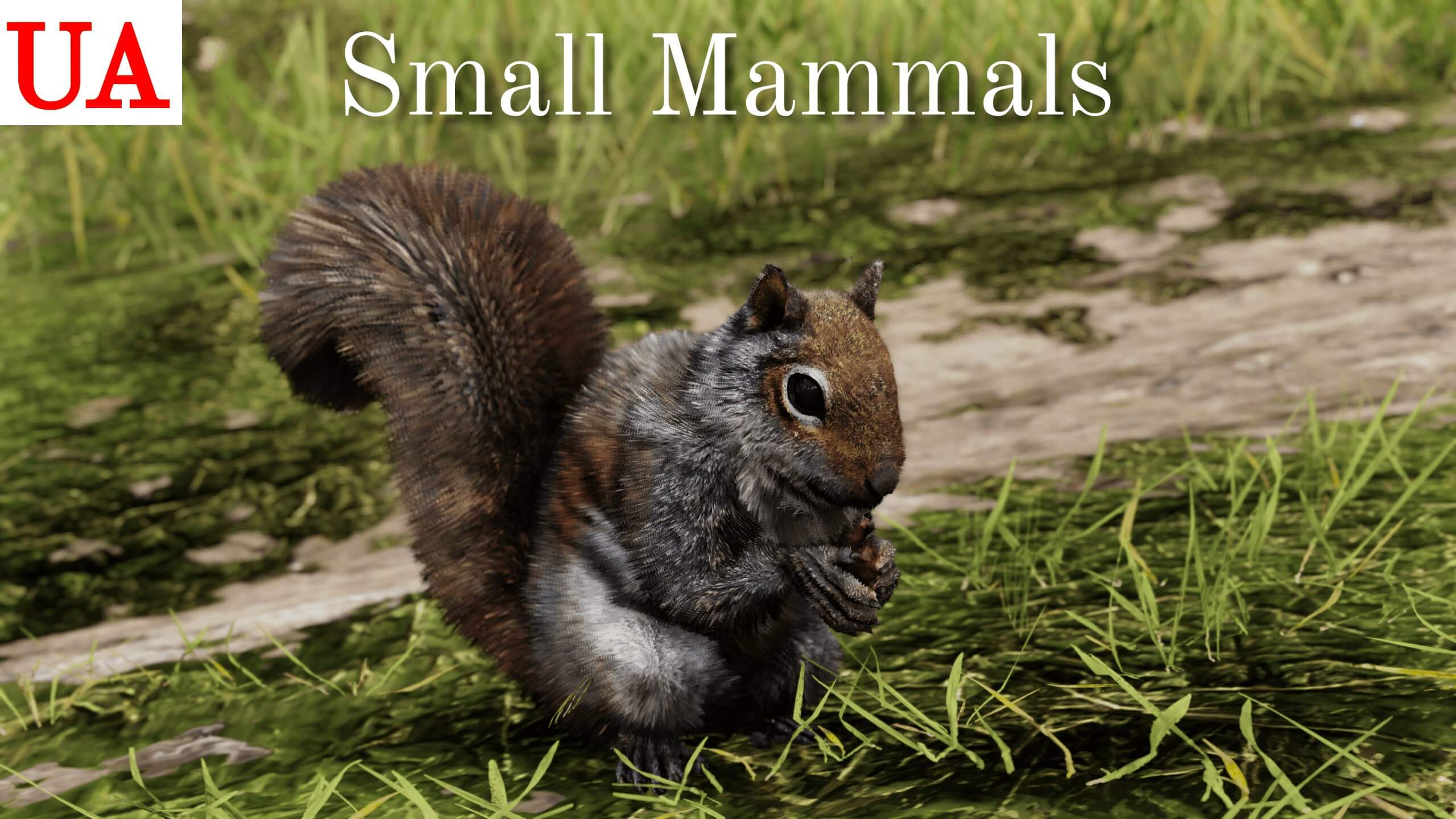 New Red Dead Redemption 2 Mods overhaul the textures of small mammals ...