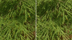 Starfield gets 25GB 4K Texture Packs for landscapes and flora