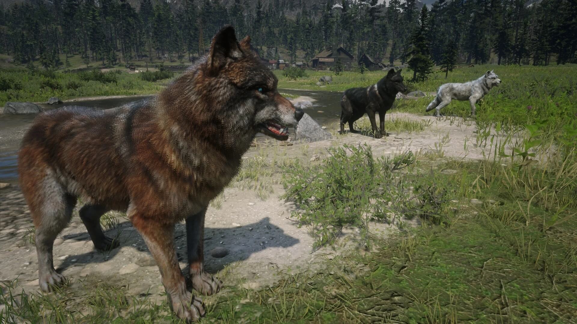 A modder has brought all the foxes, wolves, bears, alligators, bison ...