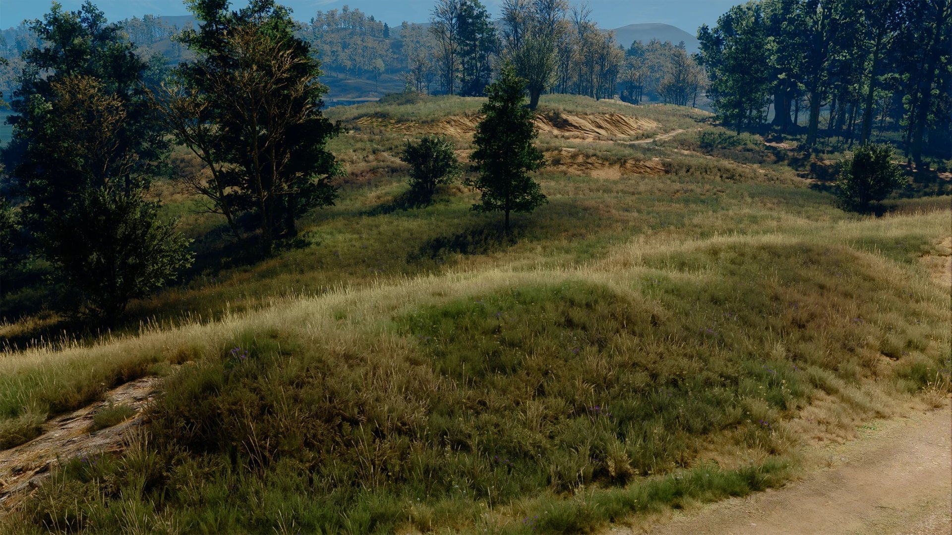 The Witcher 3 Next-Gen Mod Improves Grass Ambient Occlusion